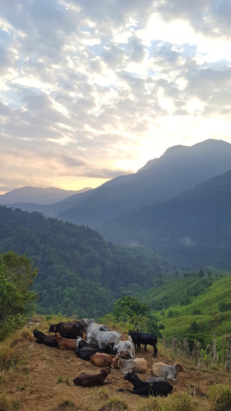 The Indigenous Tribes of The ‘Lost City’ – Not Your Average LifeSpann